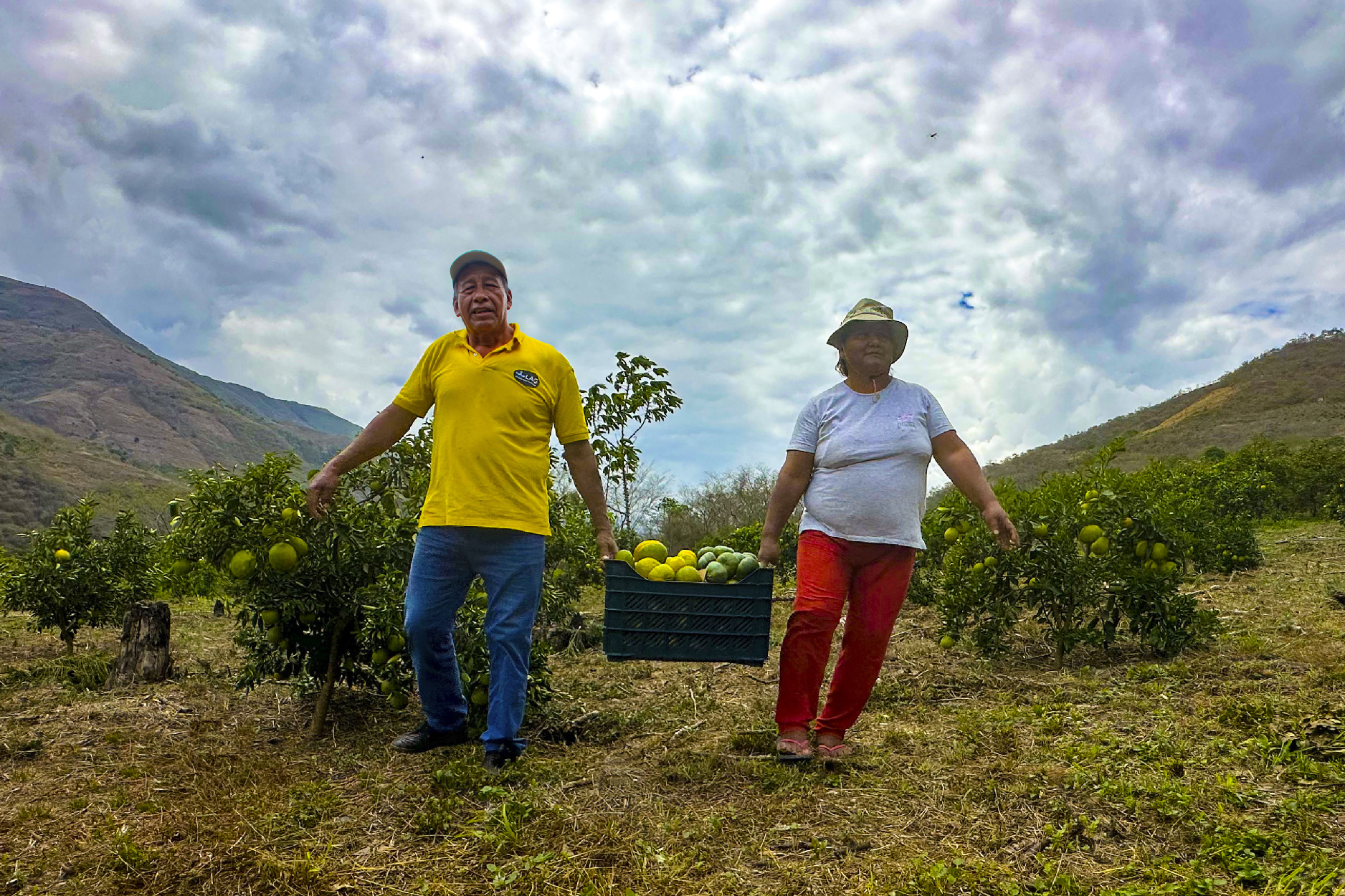 Productores – Marca Ocobamba